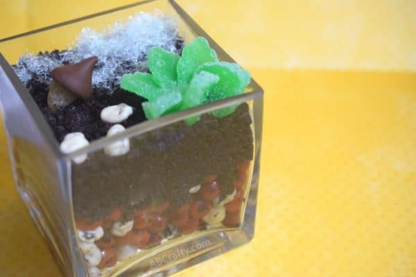 Edible Terrarium - Unique DIY Terrarium Idea - AB Crafty