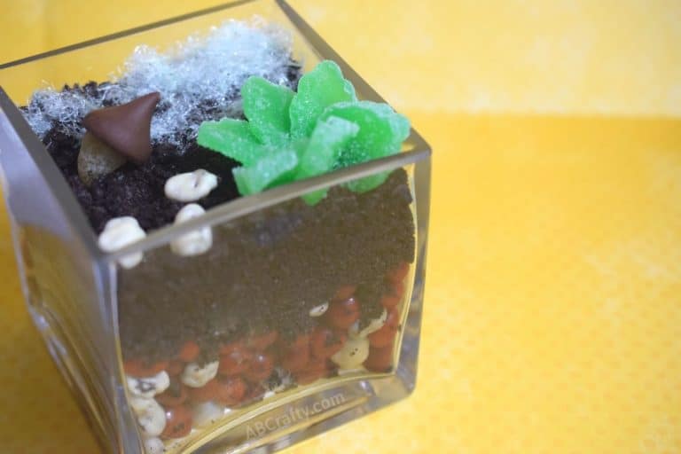 Edible Terrarium - Unique DIY Terrarium Idea - AB Crafty