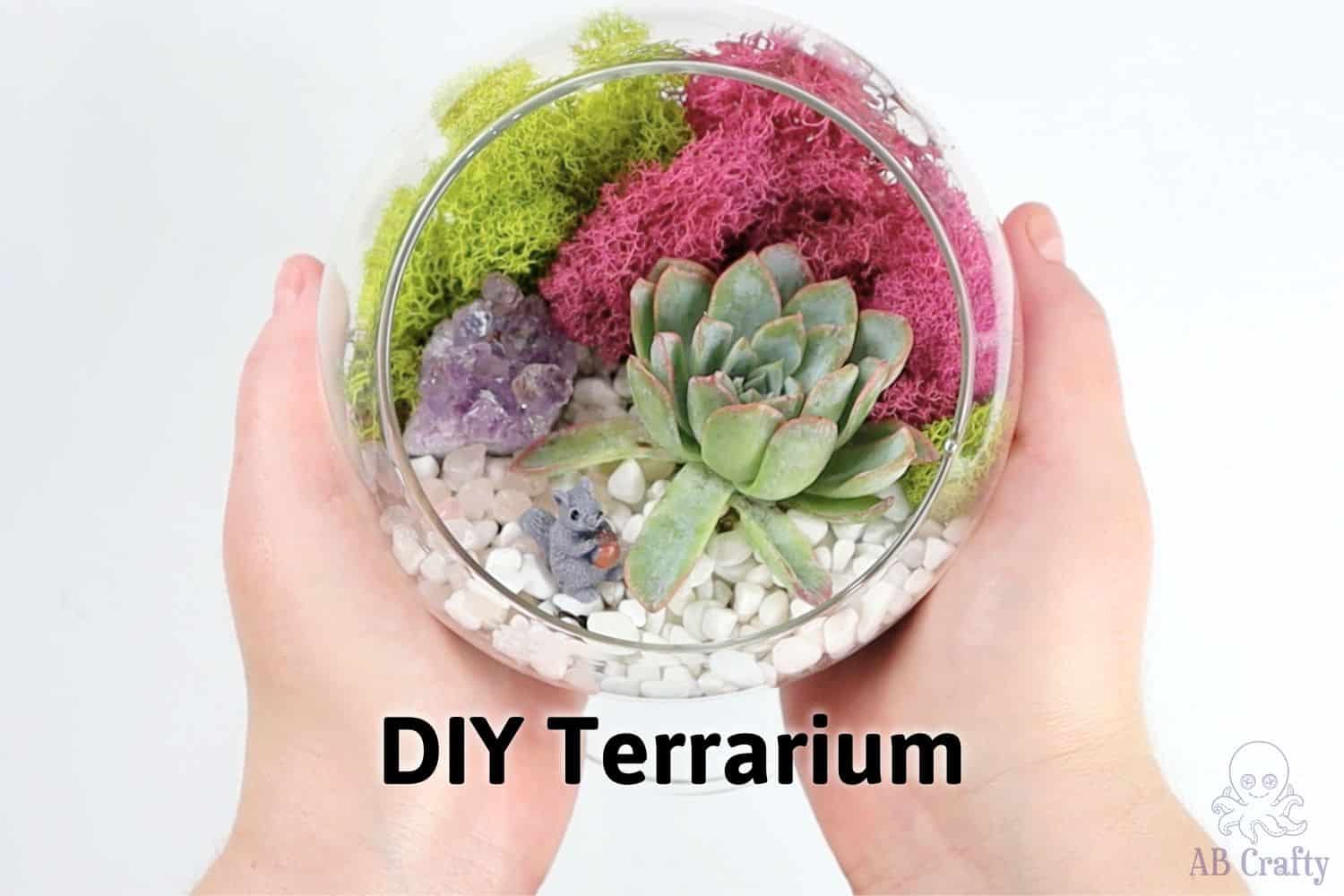 DIY Terrarium | How to Make Your Own Succulent Terrarium - AB Crafty