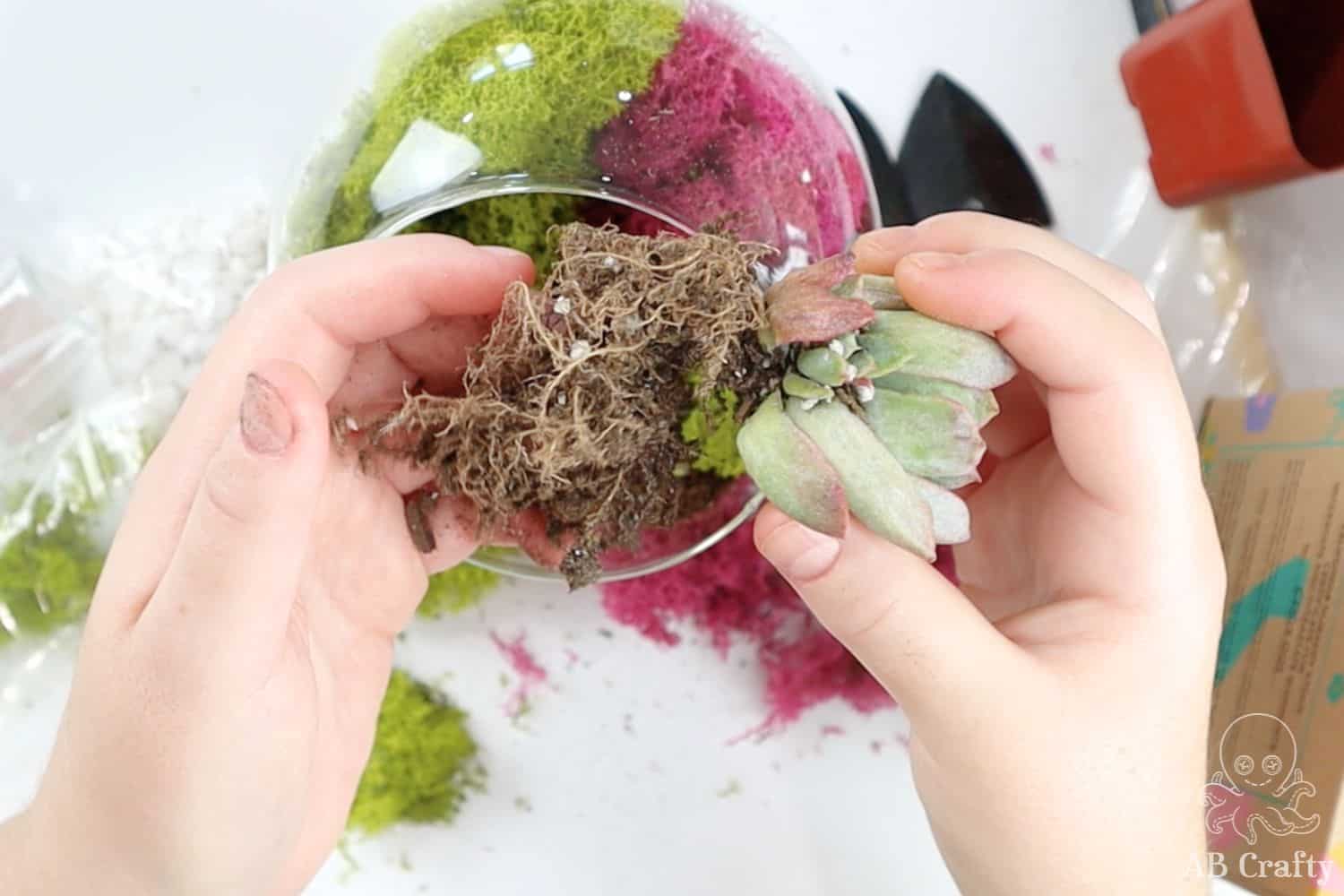 DIY Terrarium | How to Make Your Own Succulent Terrarium - AB Crafty