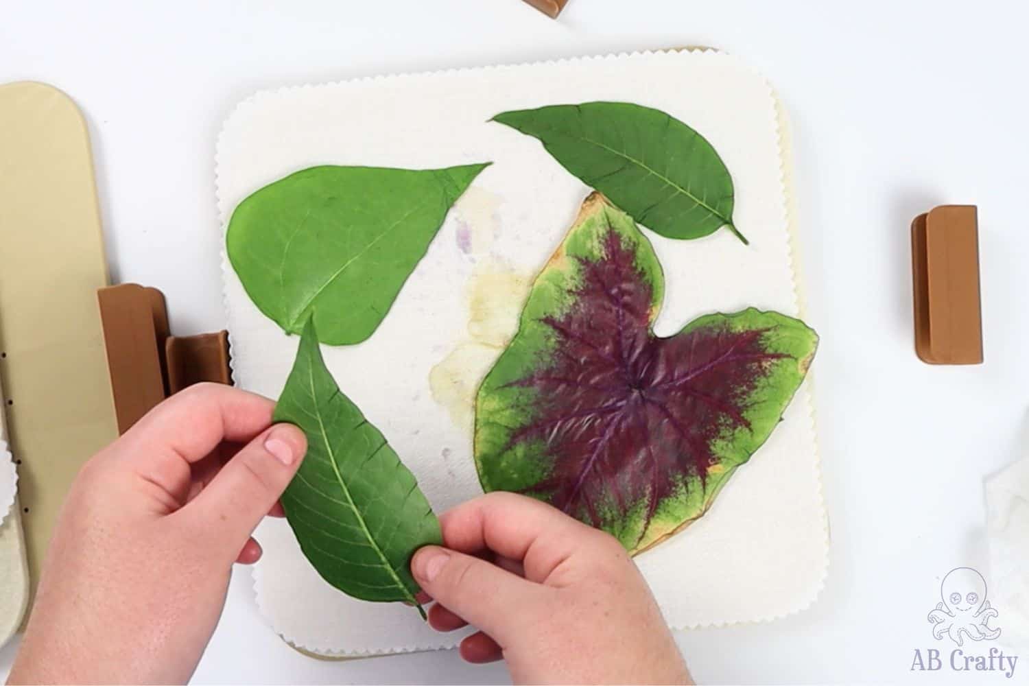 How to Press Flowers in Minutes | Microwave Flower Press - AB Crafty