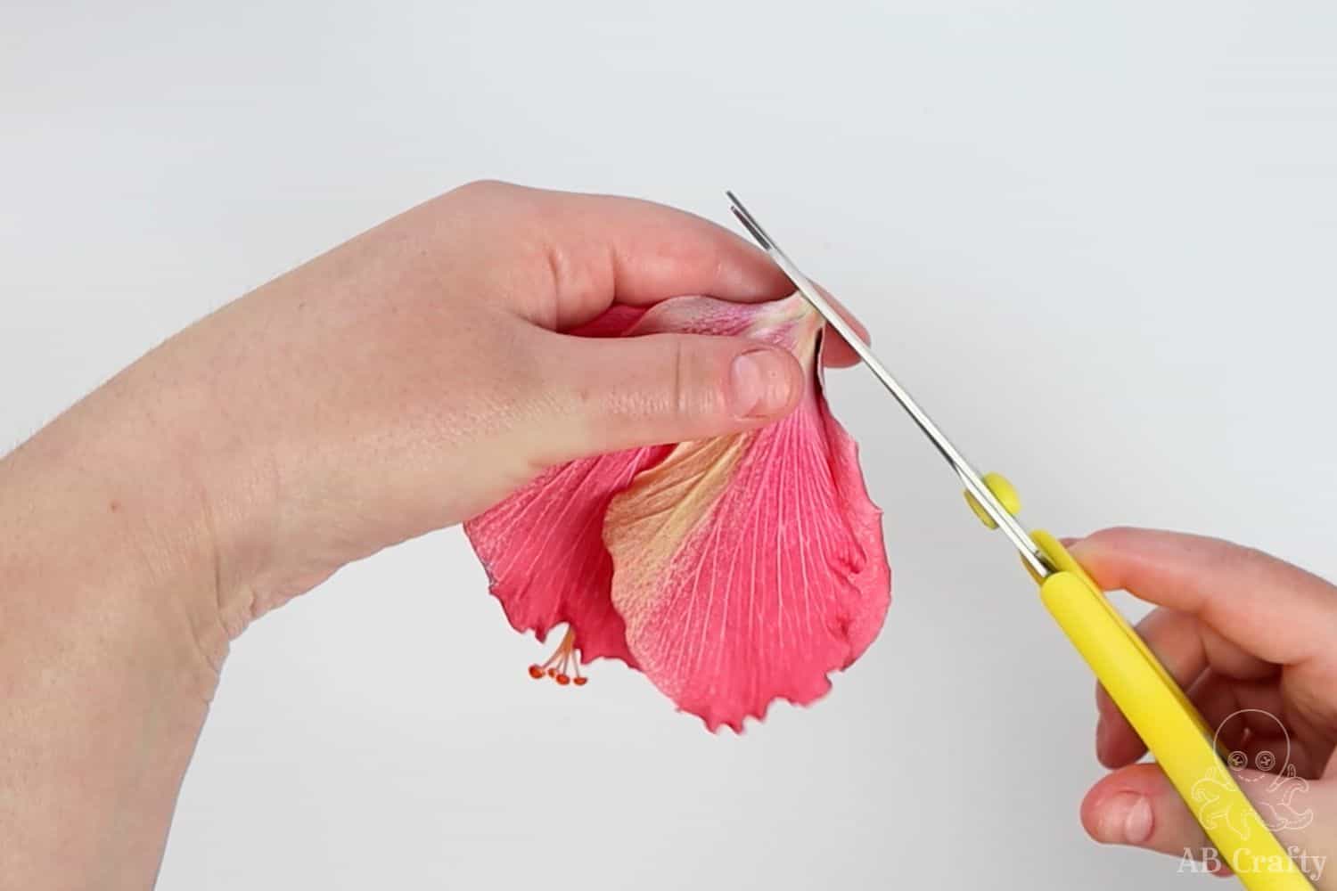 How to Press Flowers in Minutes | Microwave Flower Press - AB Crafty