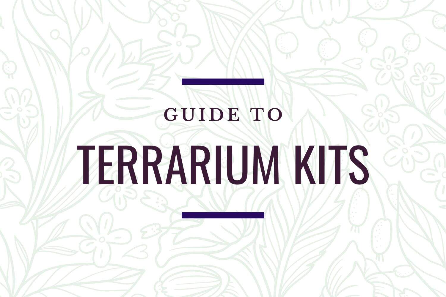 Terrarium Kit Guide - 9+ Best Terrarium Kits - AB Crafty
