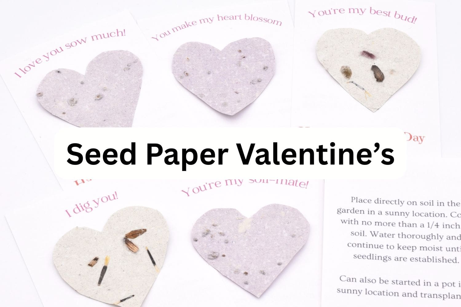 Seed Paper Valentines: How to Make Plantable Valentine’s Cards - AB Crafty